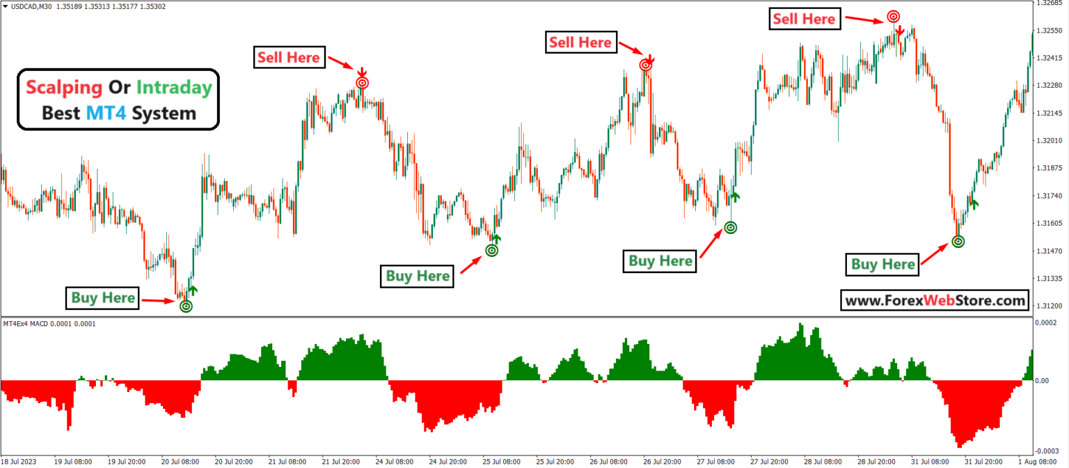 Best trend indicator mt4 true no repaint - FxProStore